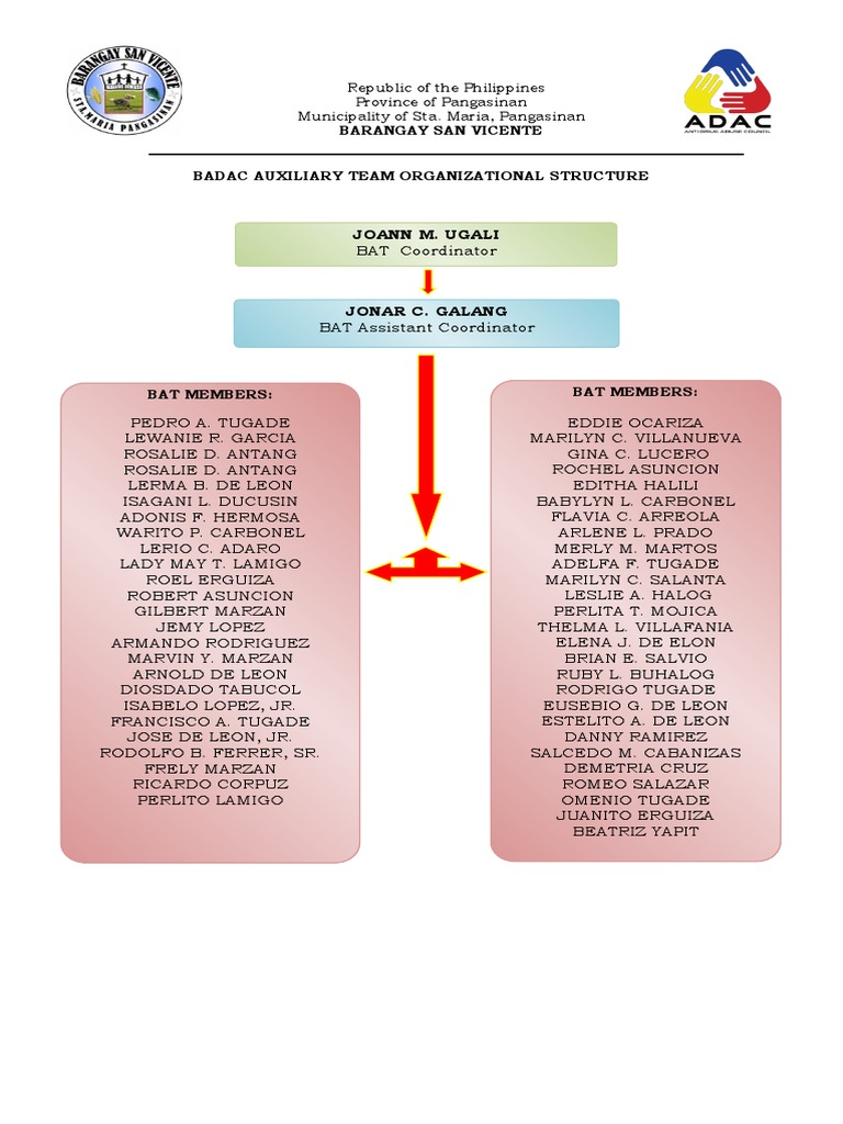 Barangay San Vicente Badac Auxiliary Team Organizational Structure | PDF