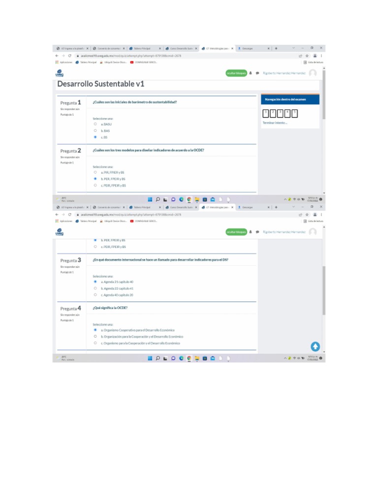 L7. Metodologías Para El Desarrollo de Indicadores - Ejercicio | PDF