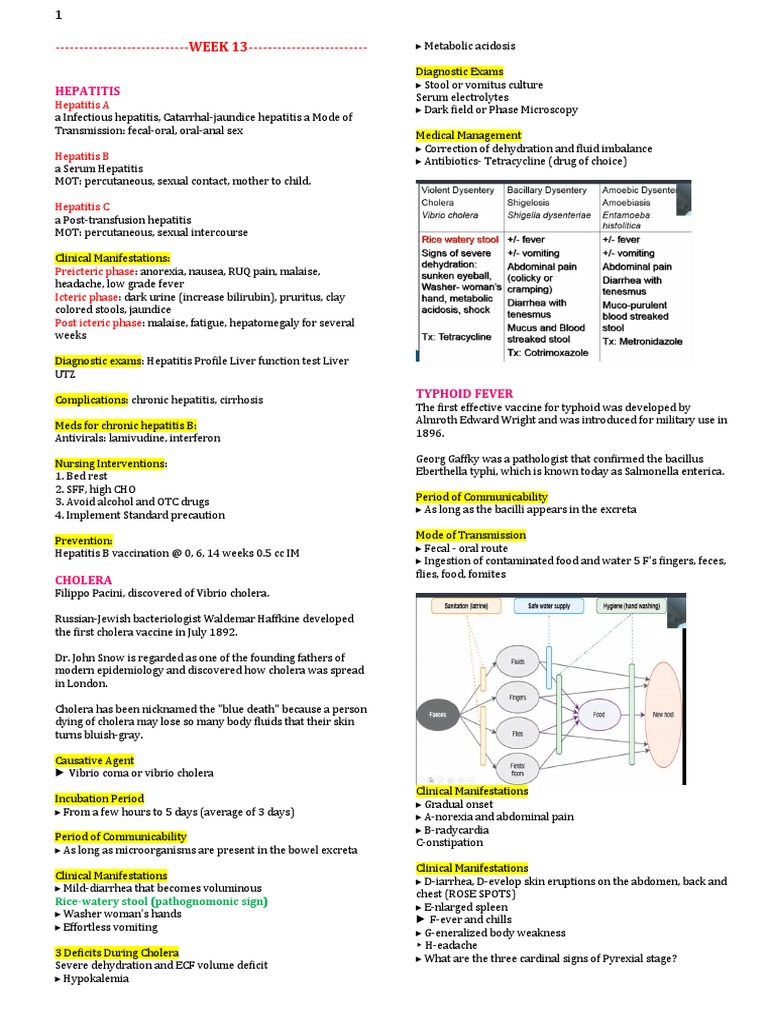 Week 13 Ncmb 312 Lect Notes Pdf Malaria Anthrax