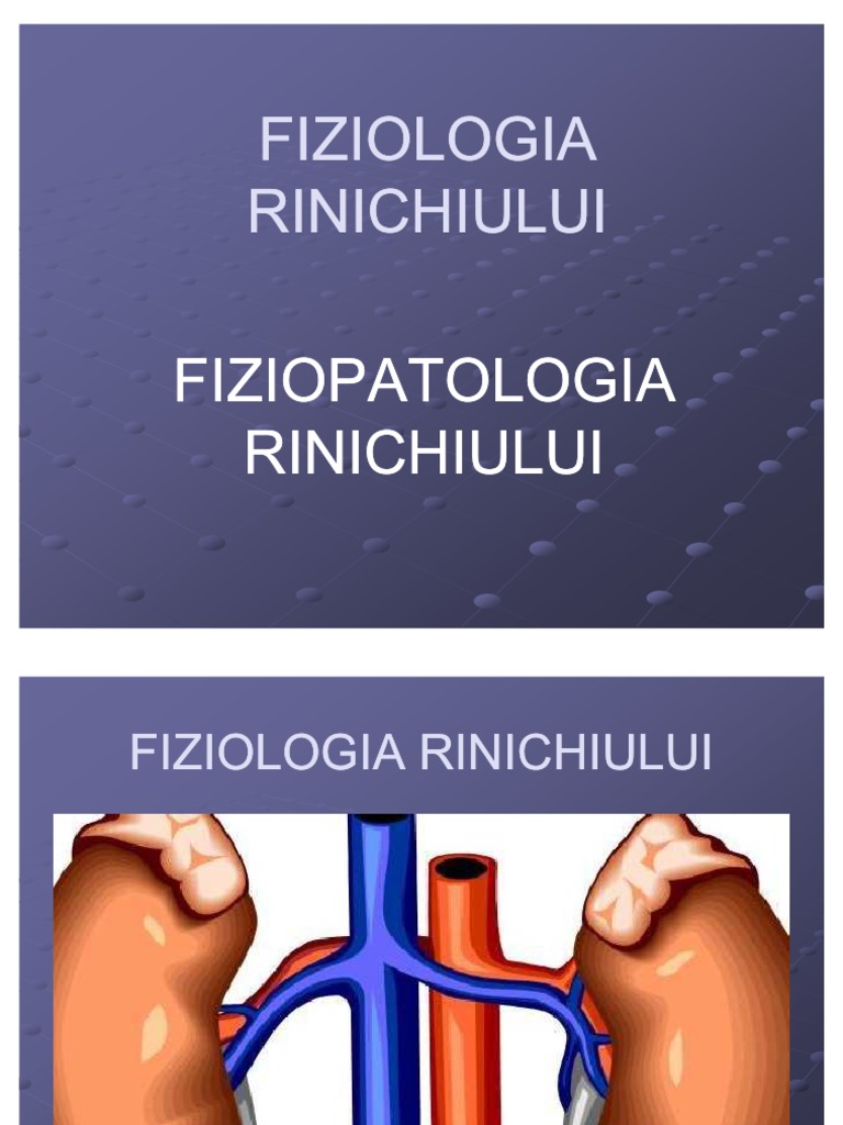 Fiziologia Rinichiului | PDF