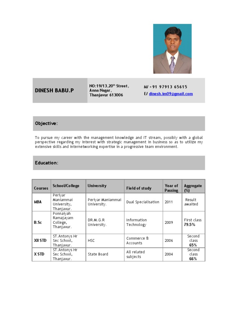 DINESH CV | PDF