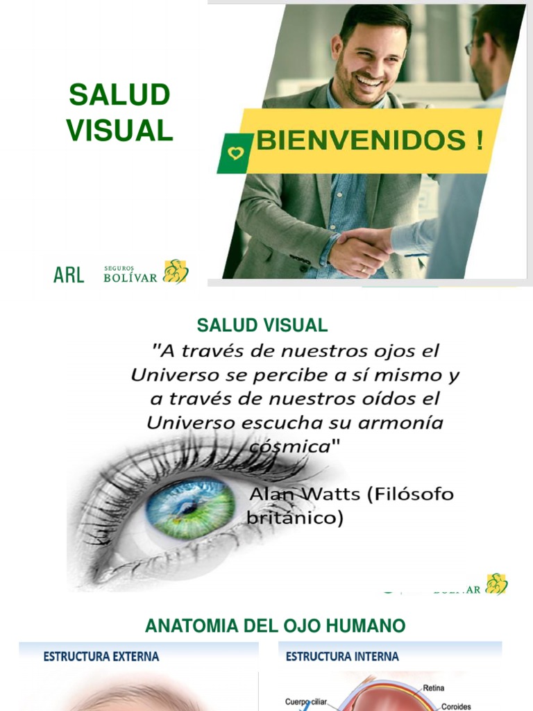 Salud Visual | PDF