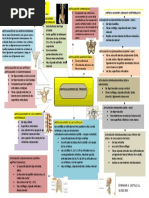Articulaciones y Ligamentos de La Columna Vertebral | PDF