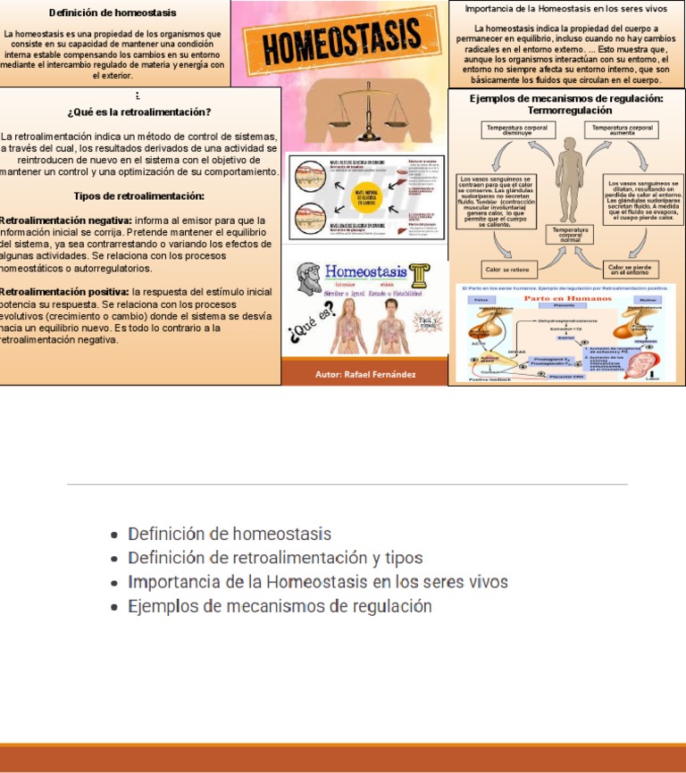 Infografia Homeostasis | PDF | Homeostasis | Realimentación
