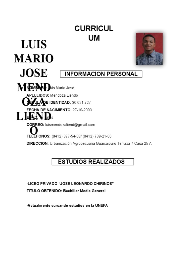 Curriculum Luis Mario | PDF
