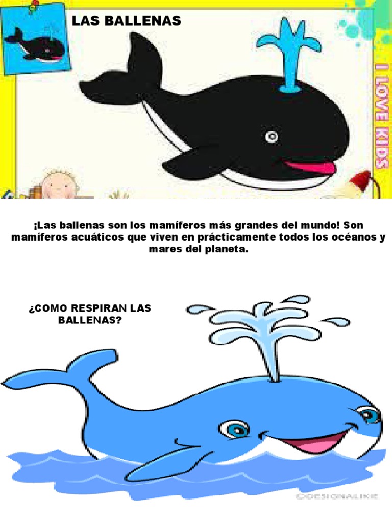 Las Ballenas | PDF | Ciencia y matemáticas | Historia