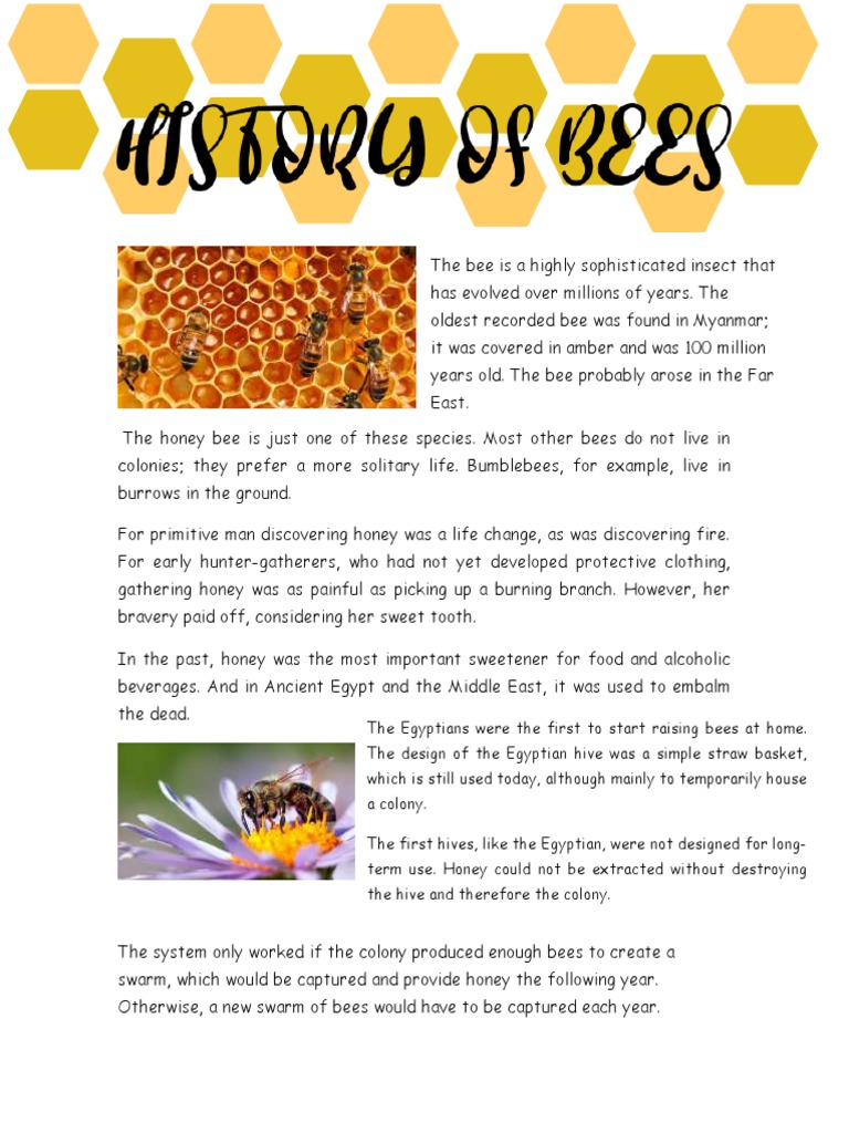 Evolution and History of Bees | PDF