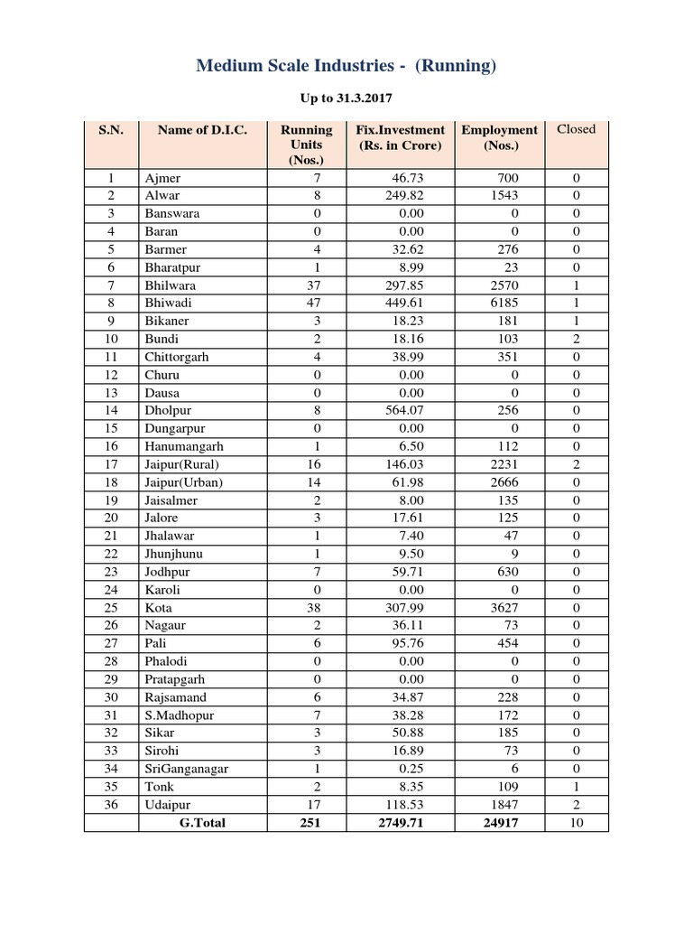 Medium Scale Industries in Rajasthan | PDF