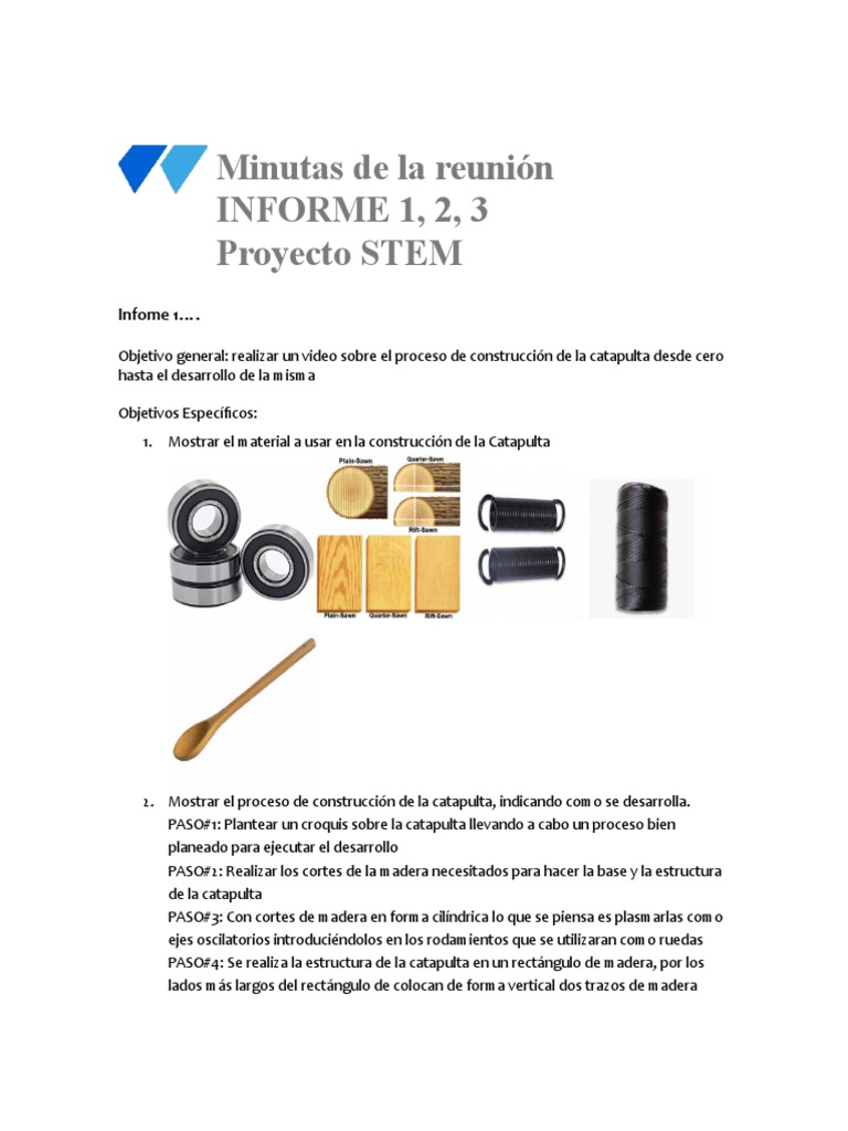 Informe Proyecto Stem | PDF