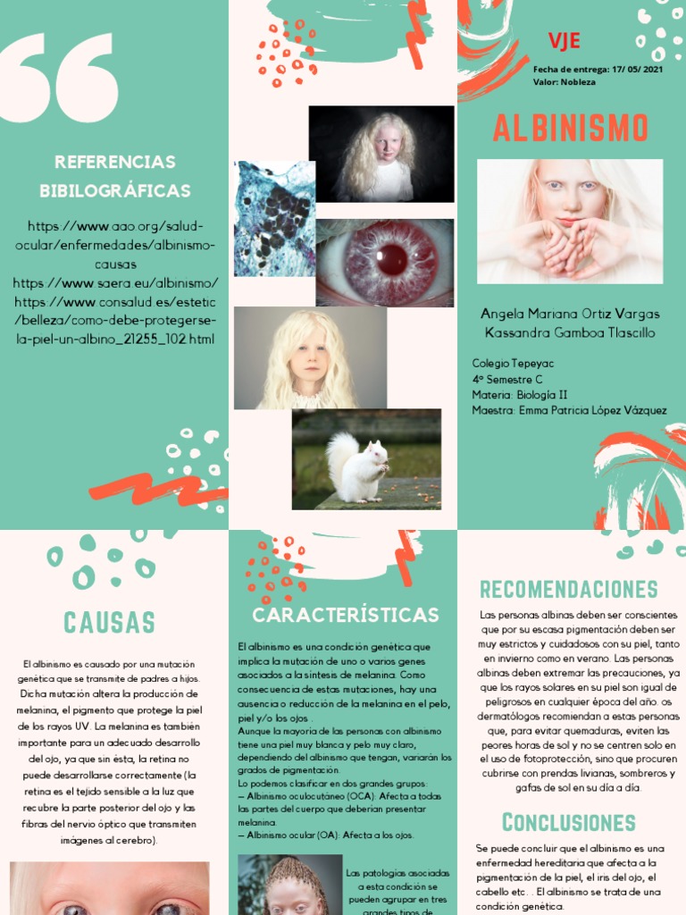 Características y causas del albinismo | PDF | Ojo | Visión