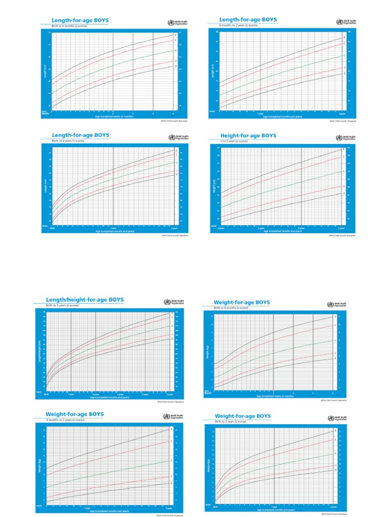 Kurva Status Gizi WHO & CDC | PDF