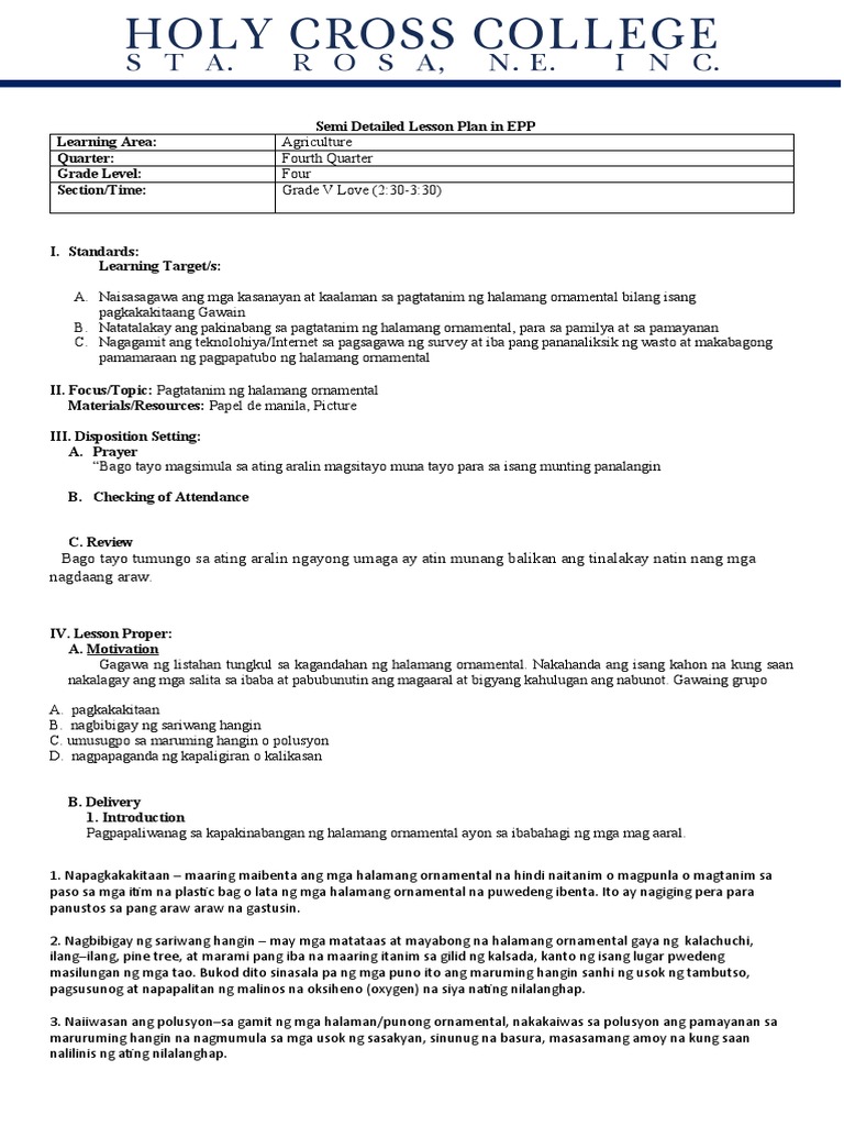 SDLP LESSON PLAN TEMPLATE - Docm | PDF