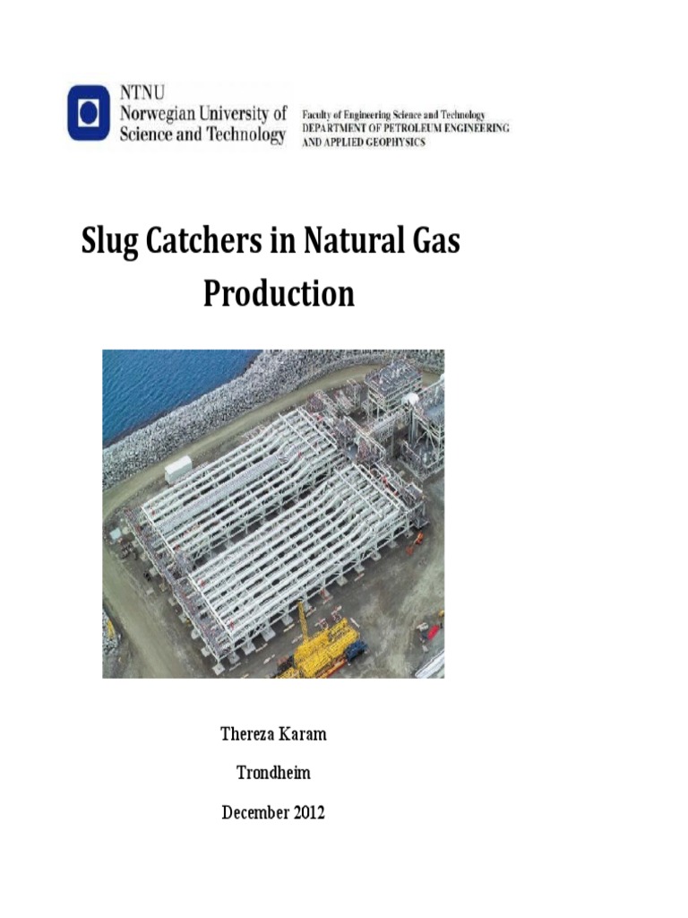 Slug Catchers in Natural Gas Production | PDF | Fluid Dynamics | Chemical Engineering