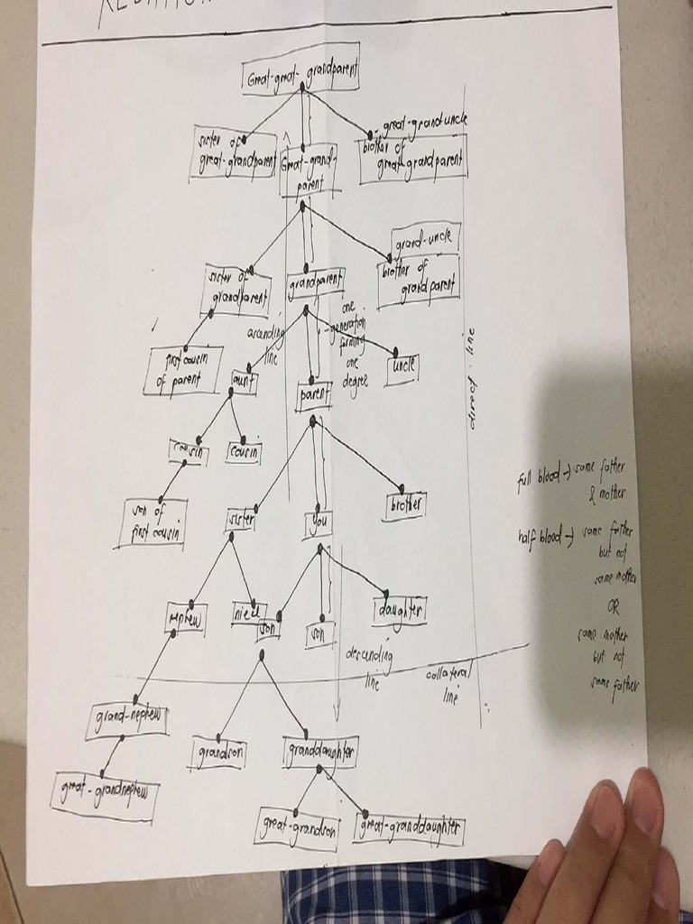 Degrees of Consanguinity | PDF