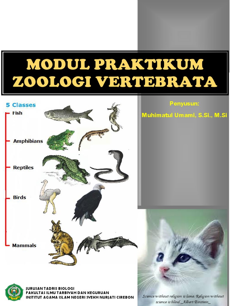 Modul Praktikum Zoologi Vertebrata | PDF