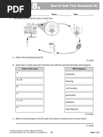 8F End of Unit Test Standard (S) 1.0 | PDF | Chemical Elements ...