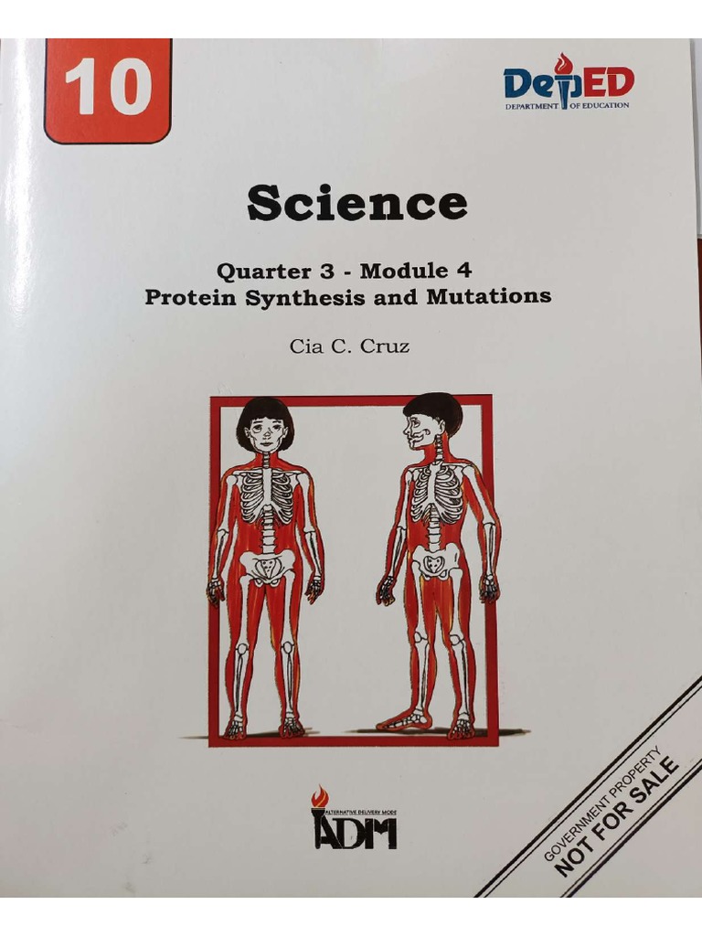 Quarter 3 Science Module 4.1 | PDF
