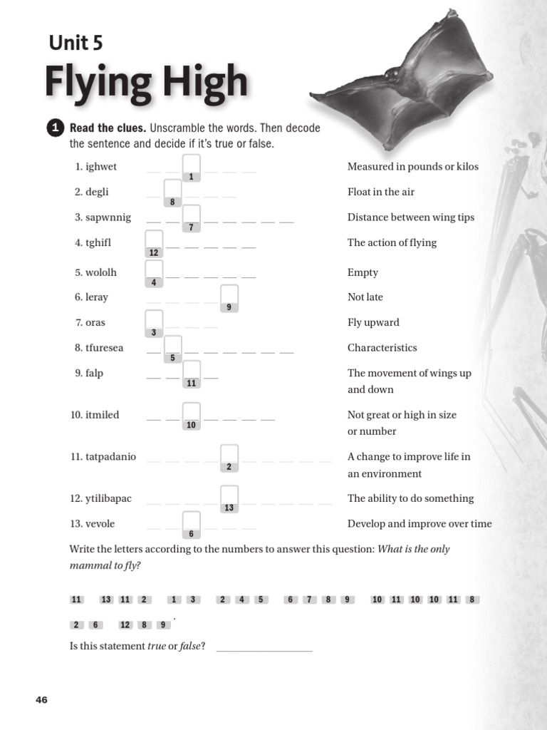 How Flying Machines Evolved | PDF | Unmanned Aerial Vehicle | Aviation
