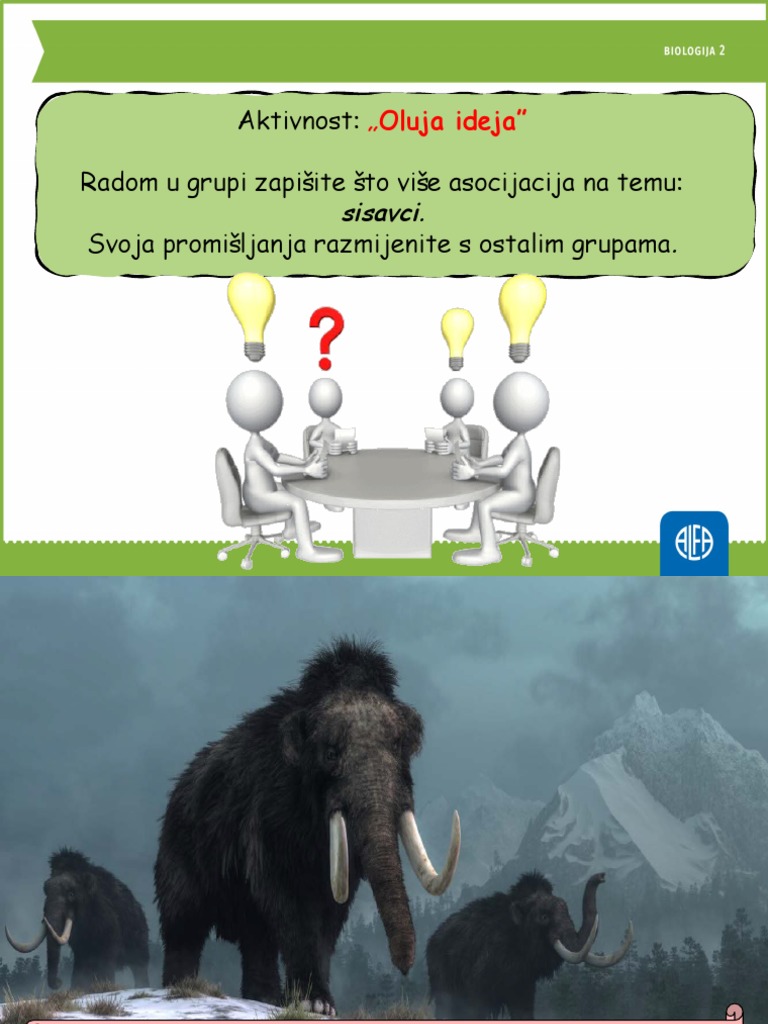 Od Rovke Do Slona - Evolucija Sisavaca | PDF