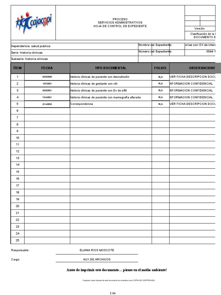 Formato Hoja de Control | PDF