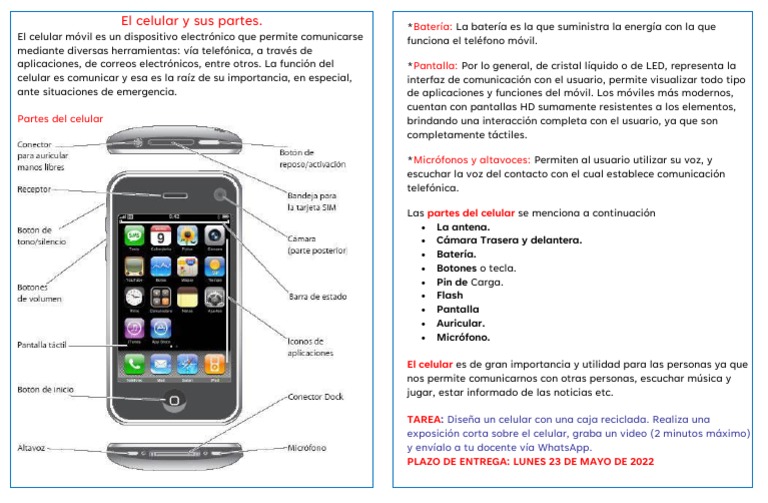 El Celular y Sus Partes (4682) | PDF | Teléfonos móviles | Micrófono