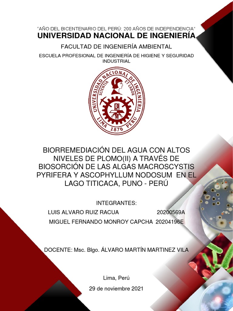 Avance de Proyecto 10 | PDF | La contaminación del agua | Cromo