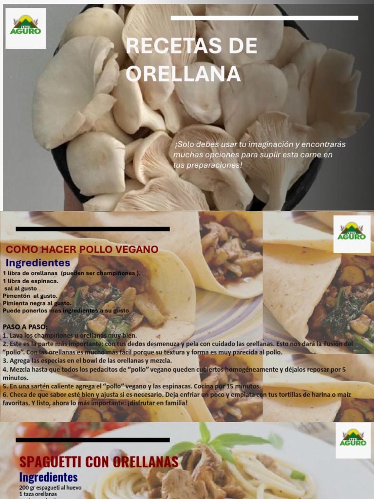 Recetas Variadas con Orellanas | PDF | Sopa de pollo | Queso