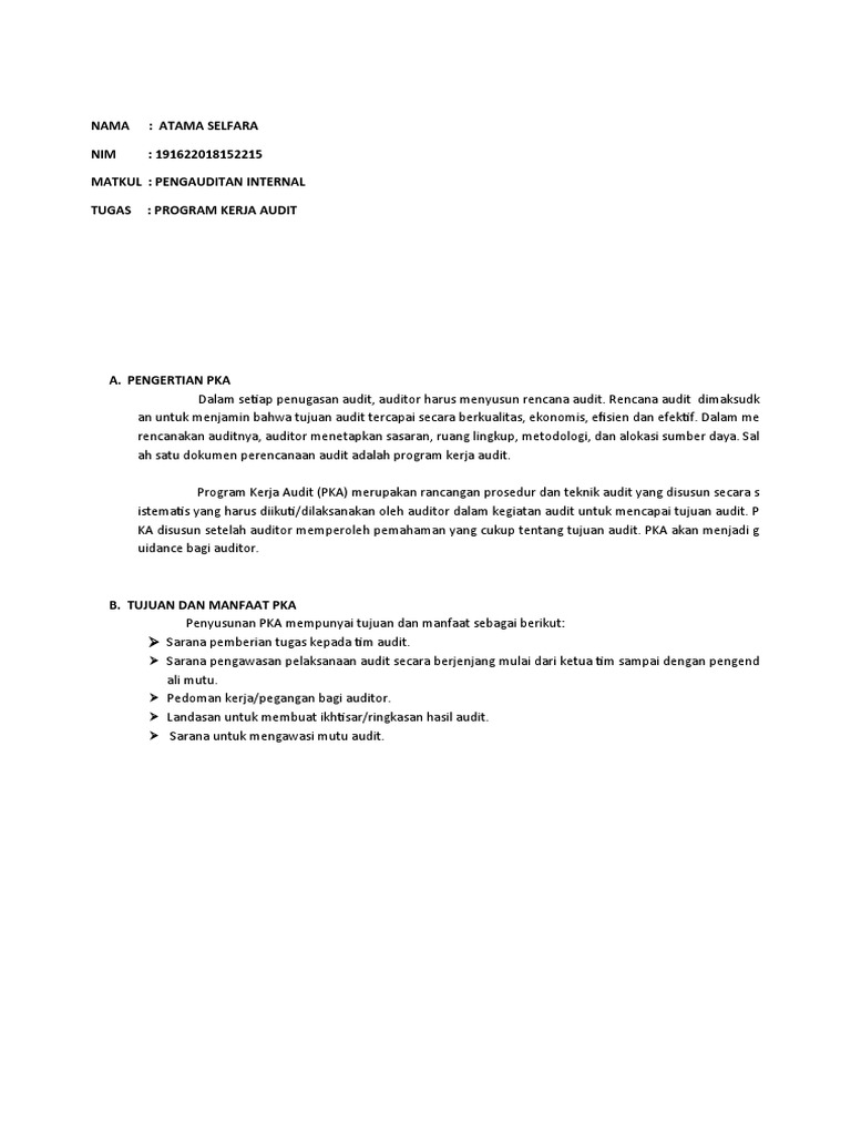 Audit Internal | PDF