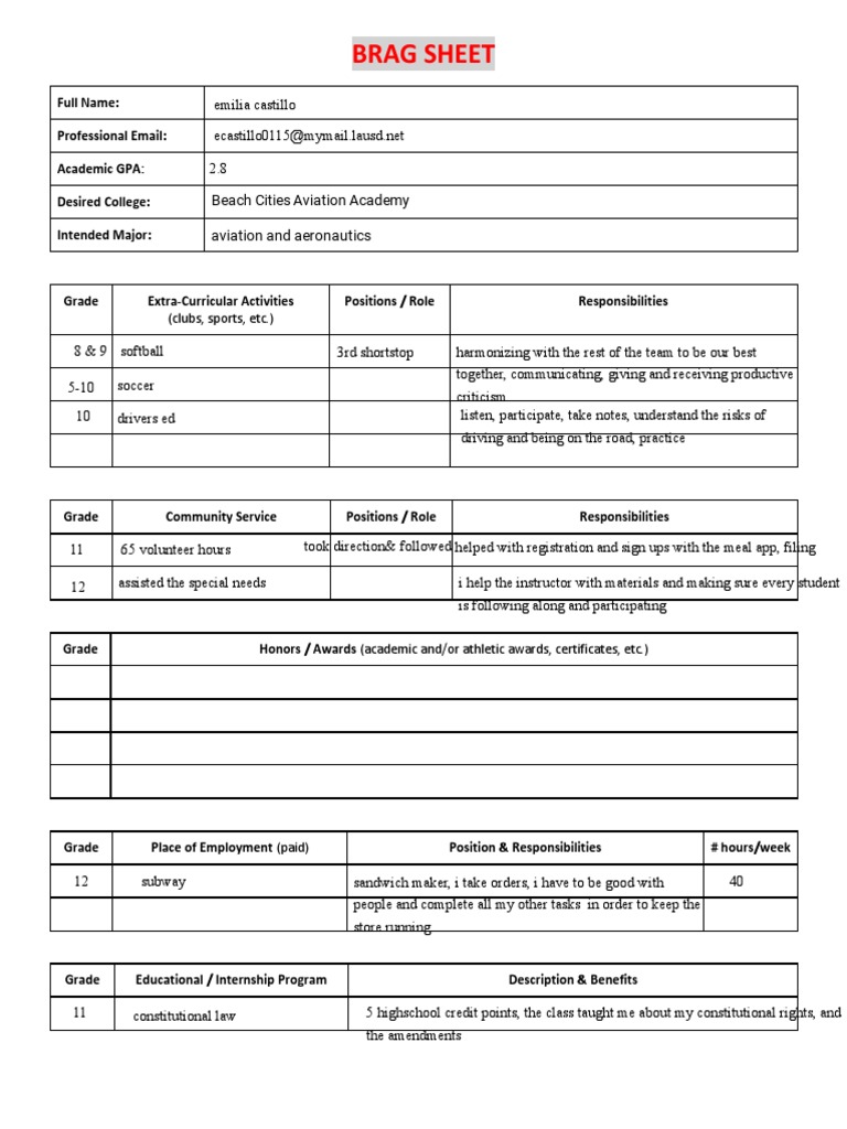 Kami Export - Brag Sheet Template 1 2 | PDF