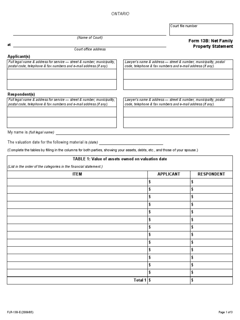 Form 13b Net Family Property Statement | PDF | Valuation (Finance ...