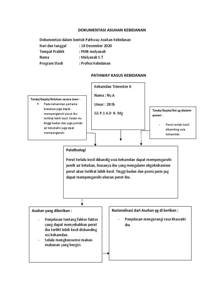 Pathway Asuhan Kebidanan Ibu Hamil | PDF | Kesehatan Holistik