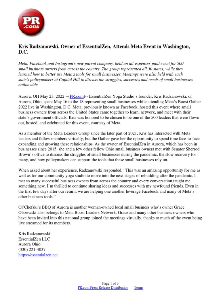 EssentialZen's Kris Radzanowski at Meta Event | PDF | Internet ...