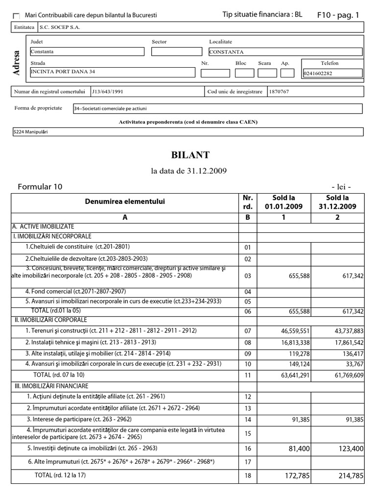 Bilant: F10 - Pag. 1 | PDF