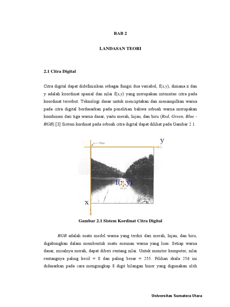 Citra Digital: Teori dan Format RGB | PDF