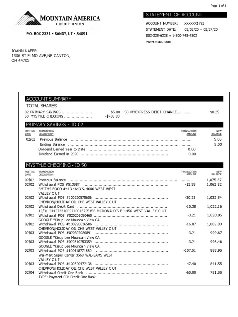 Statement of Account: Total Shares | PDF | Deposit Account | Overdraft