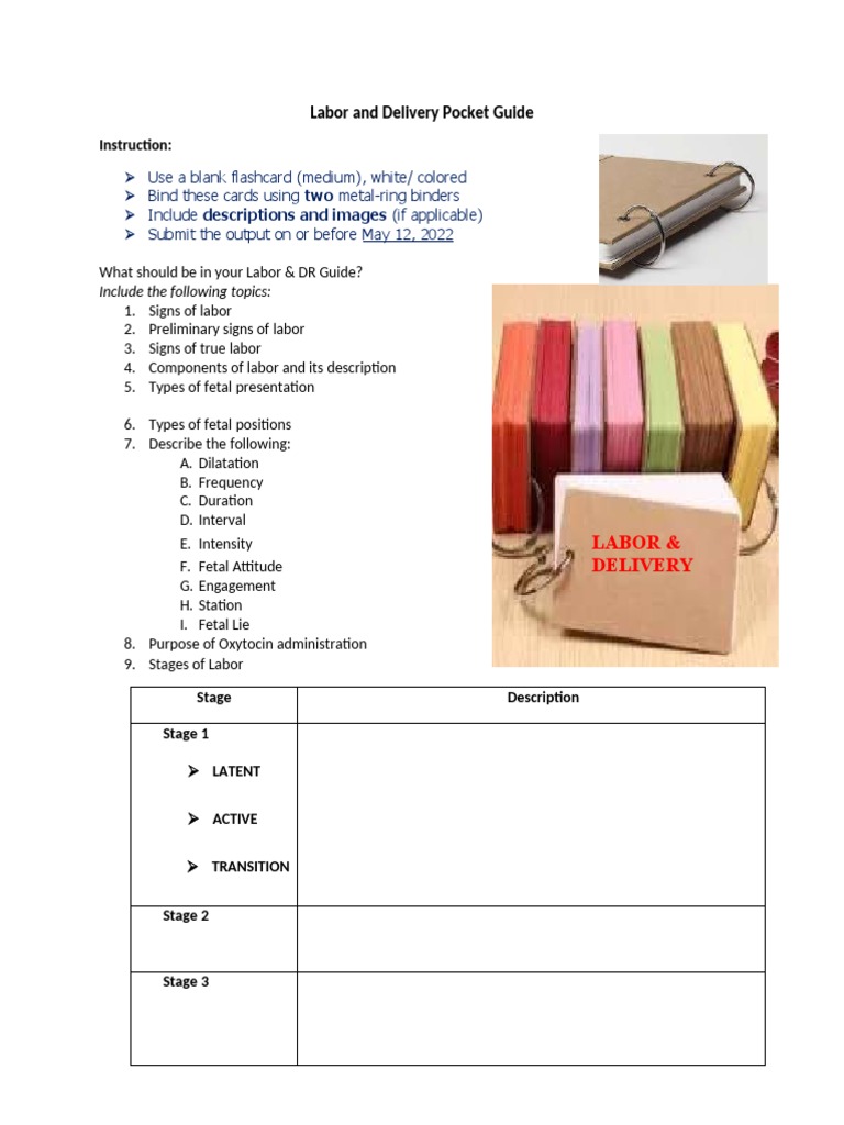 Labor and Delivery Pocket Guide | PDF
