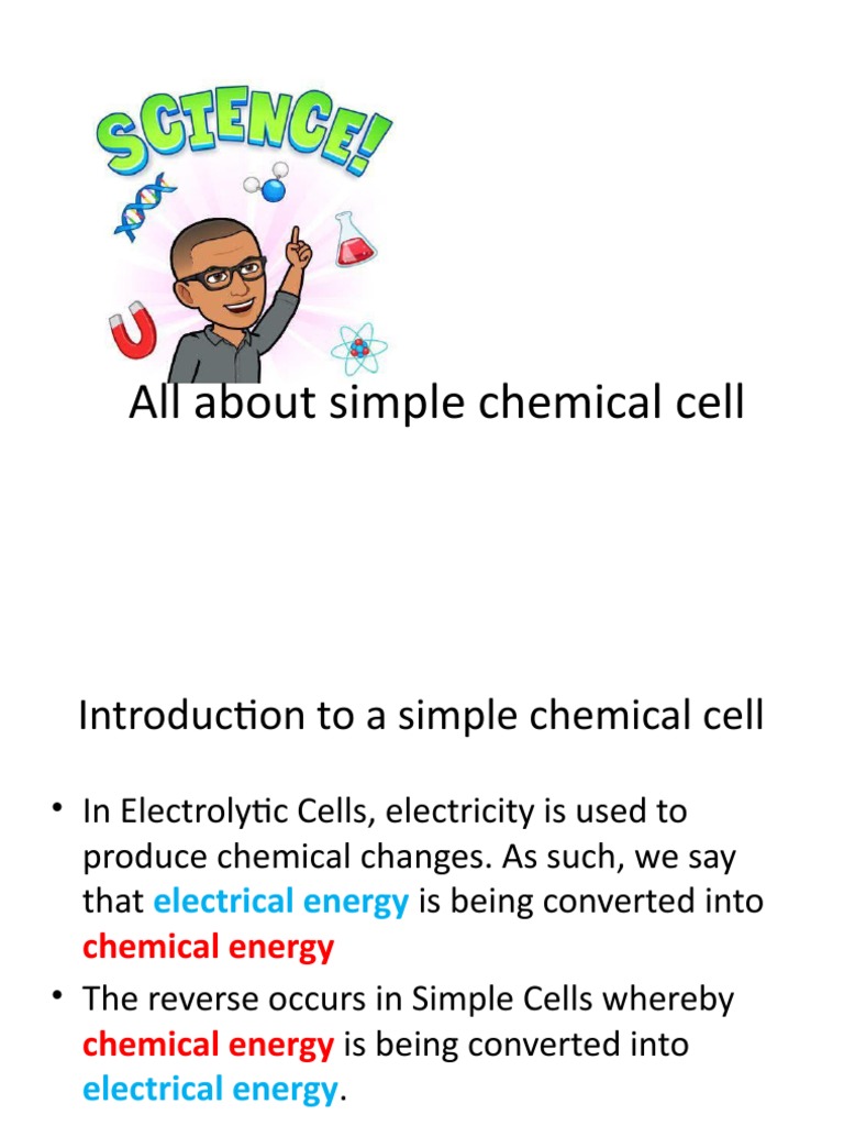 All About Simple Cell | PDF