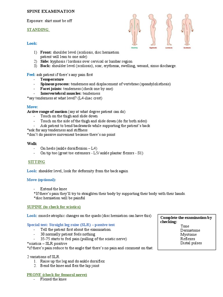 Spine and Shoulder Examination | PDF | Anatomical Terms Of Motion ...