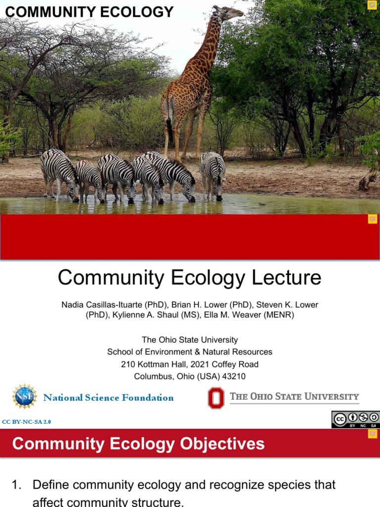 Lecture 6 Part 1 Plant Ecology | PDF | Food Web | Ecology