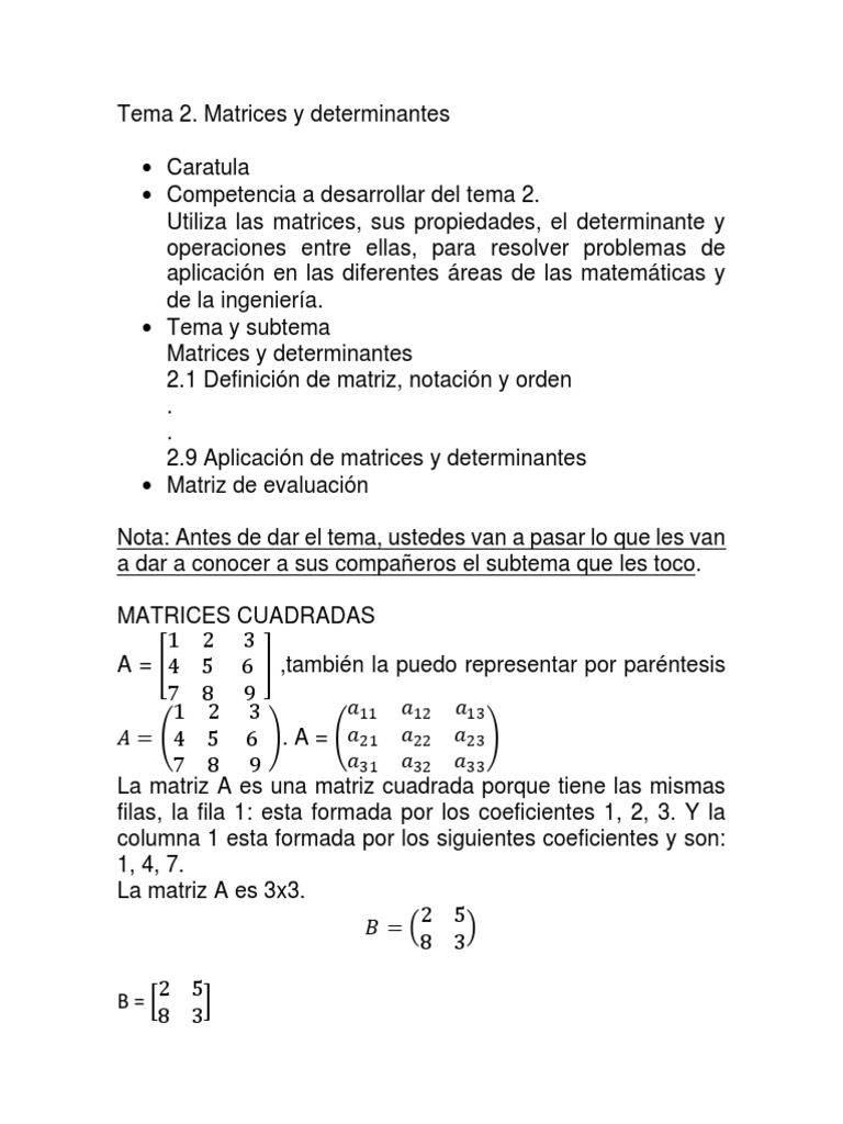 Tema 2. Matrices y Determinantes | PDF | Matriz (Matemáticas ...