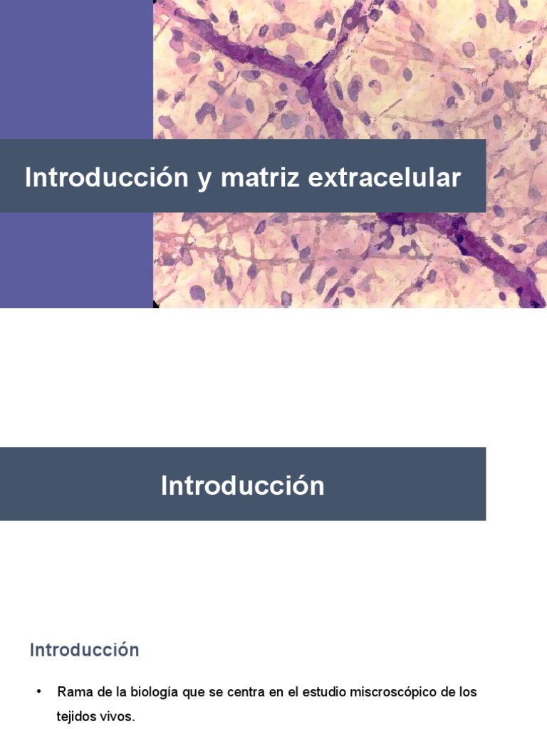 Introducción y Matriz Extracelular | PDF | Tinción | Tejido conectivo