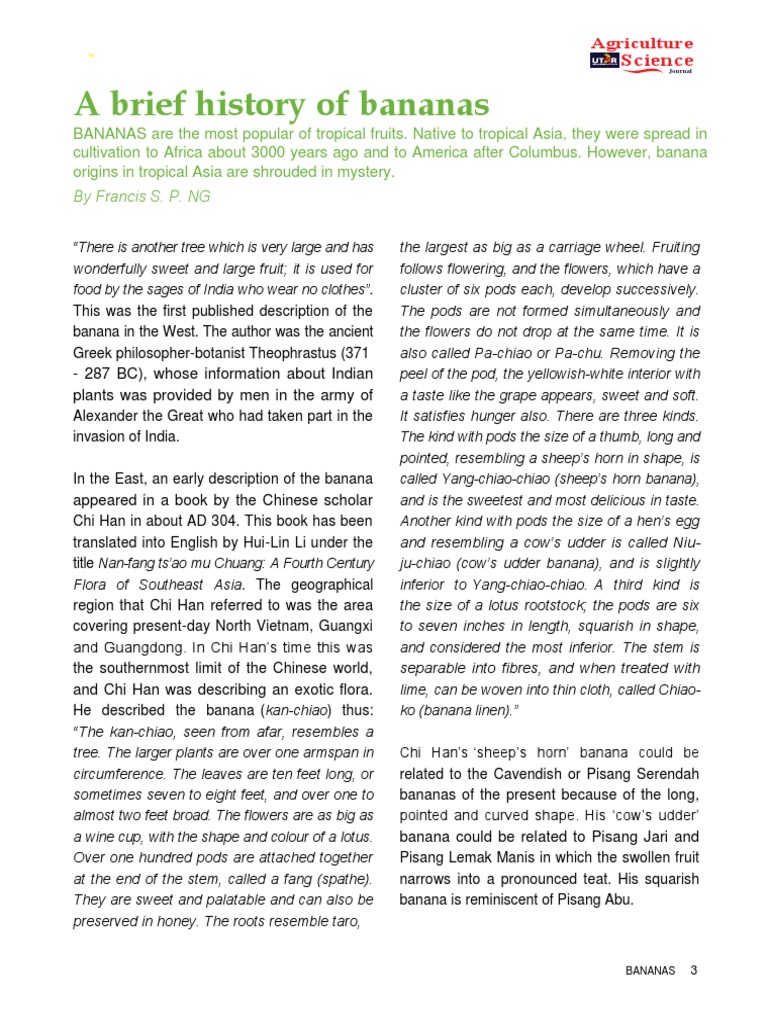 A Brief History of Bananas: by Francis S. P. NG | PDF | Banana | Plants