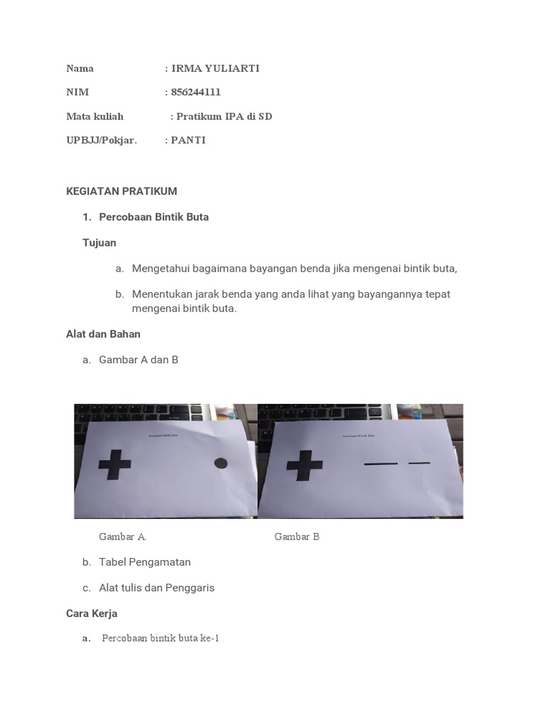 Percobaan Bintik Buta Adan B | PDF