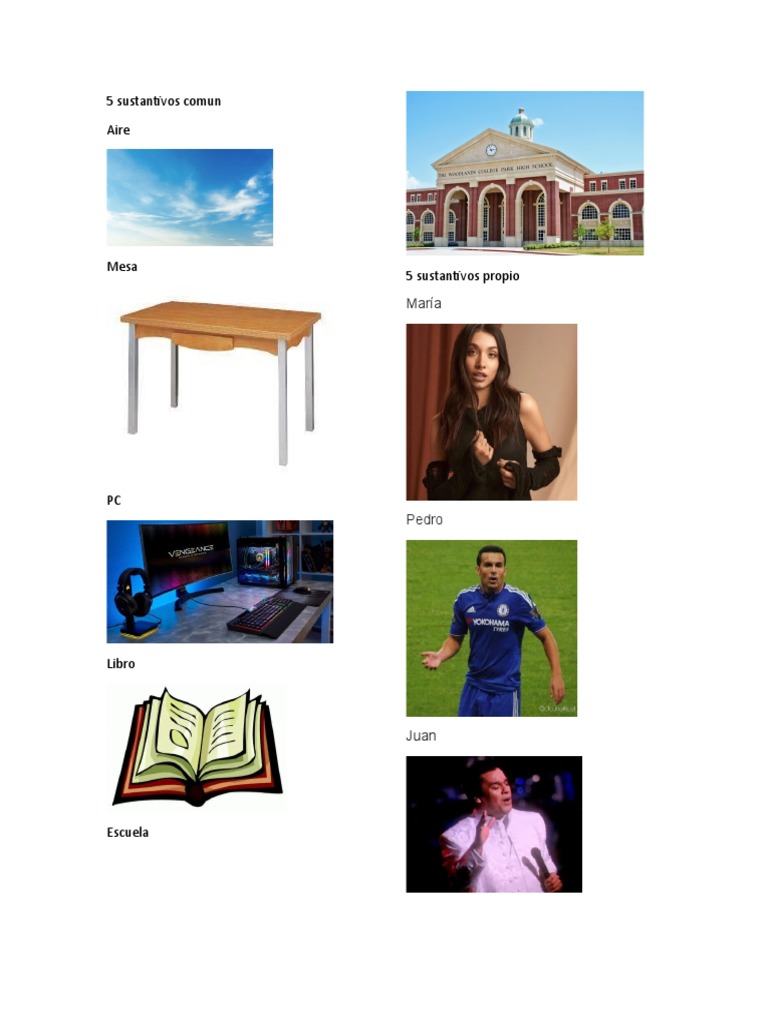 Tipos de Sustantivos: Comunes y Propios | PDF