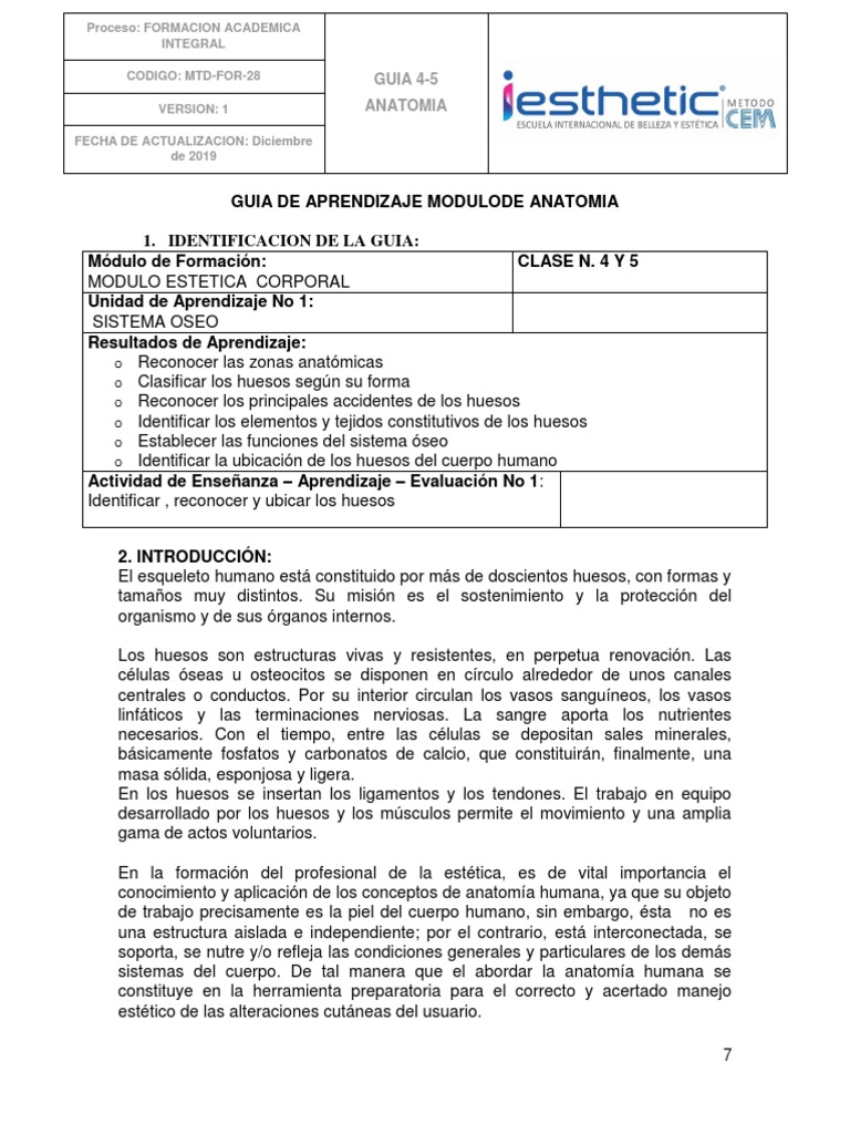 Anatomía Del Sistema óseo Guía De Aprendizaje Para La Identificación