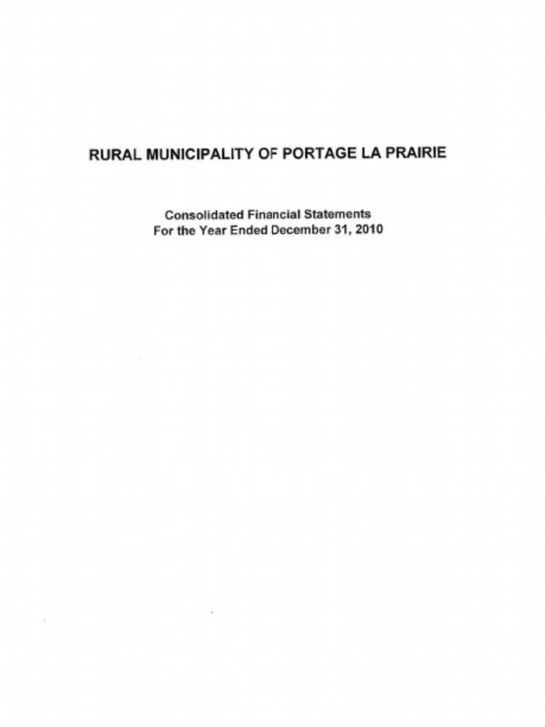 2010 Audited Financial Statements PDF