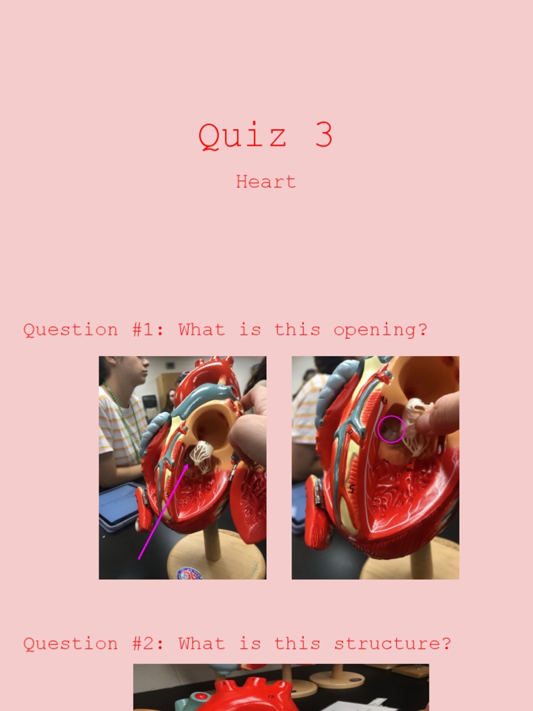 Lab 5 Lesson 2 | PDF