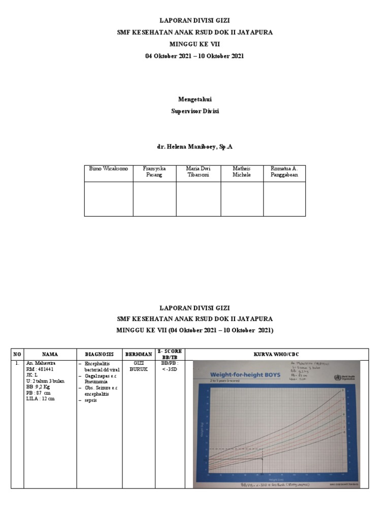 Laporan Divisi | PDF