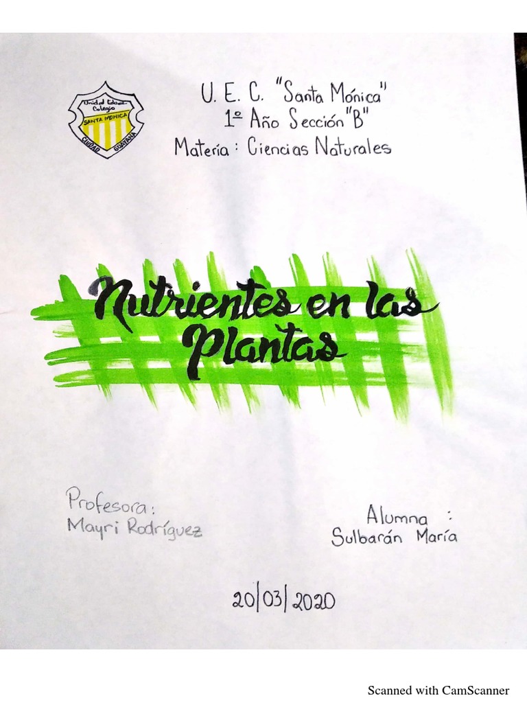 Sulbaran María 1er AÑO B Trabajo CS. NATURALES Prof Mayri Rodriguez | PDF