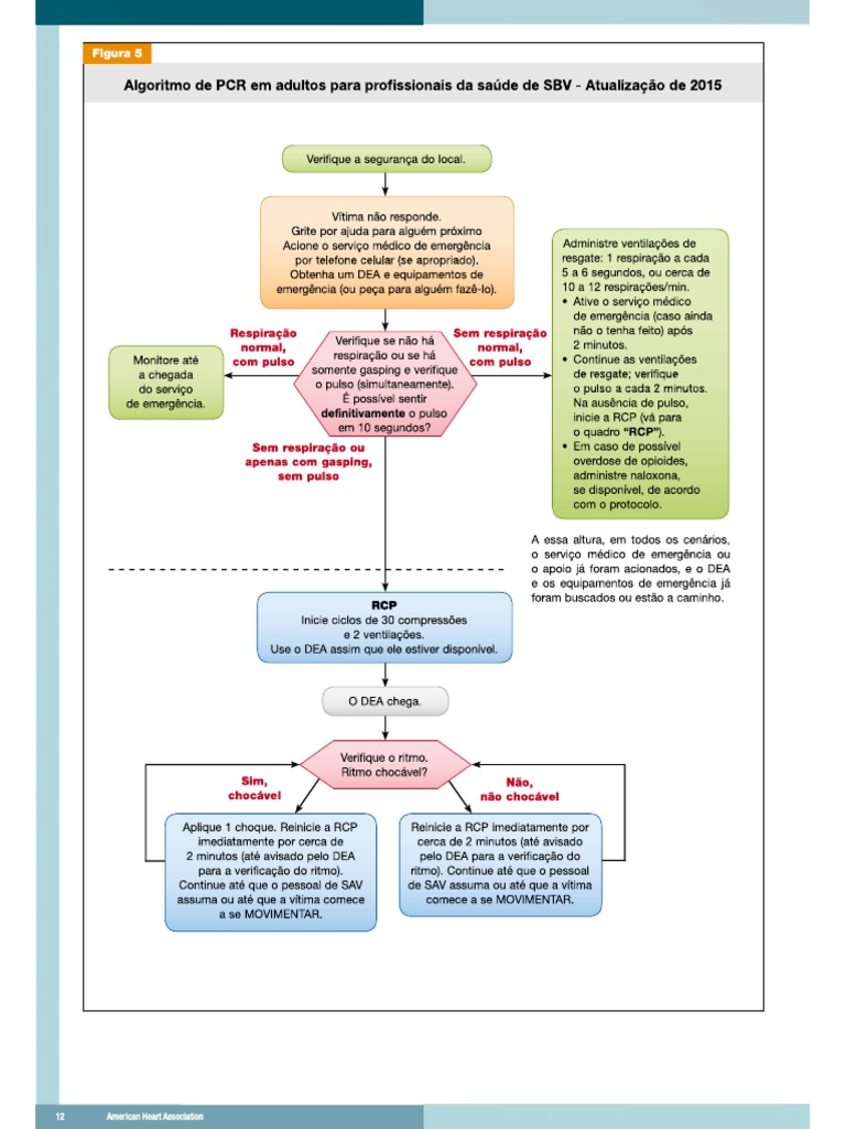 Algoritmo SBV Adulto 2015 | PDF
